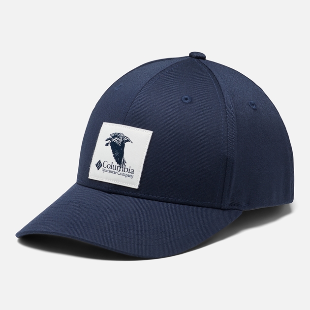 BAXTER FALLS™ DAD CAP | COLUMBIA